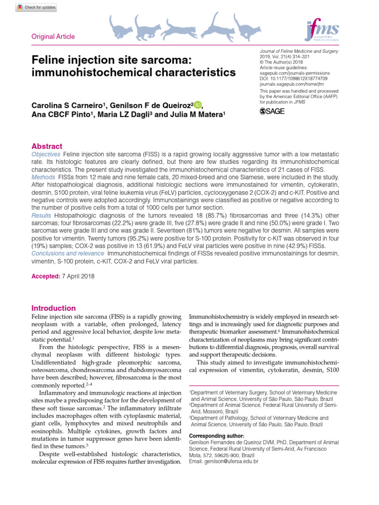 Carneiro Et Al 2018 Feline Injection Site Sarcoma Immunohistochemical ...