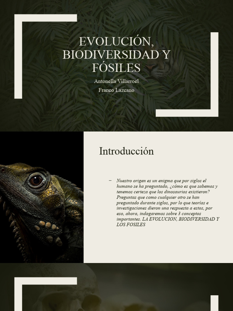 Presentacion Biología | PDF | Evolución | Biodiversidad