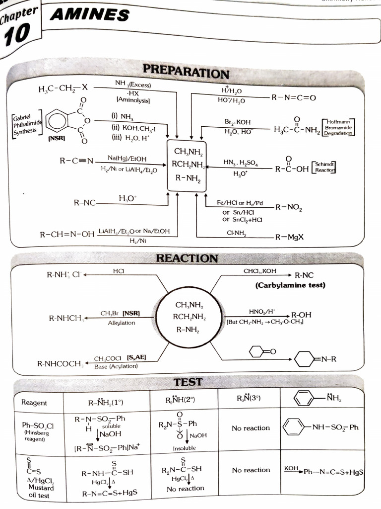 Amines Allen handbook | Download Free PDF | Chemical Reactions | Amine