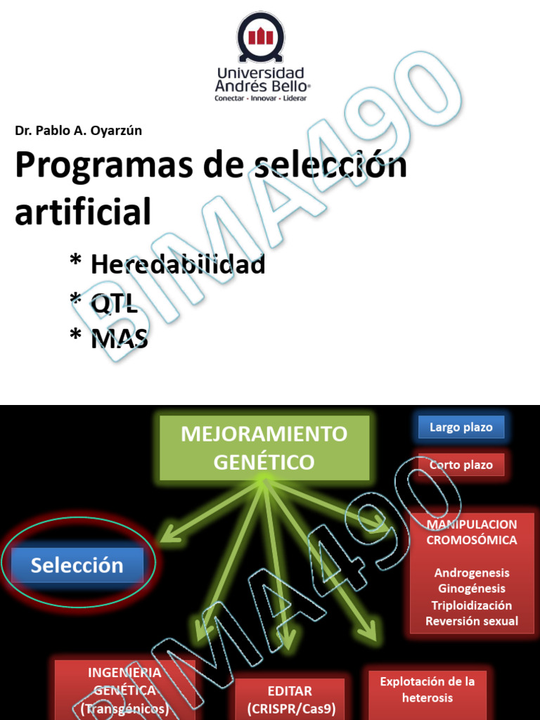 Programas de Seleccion Artificial (Heredabilidad, QTL, MAS ...