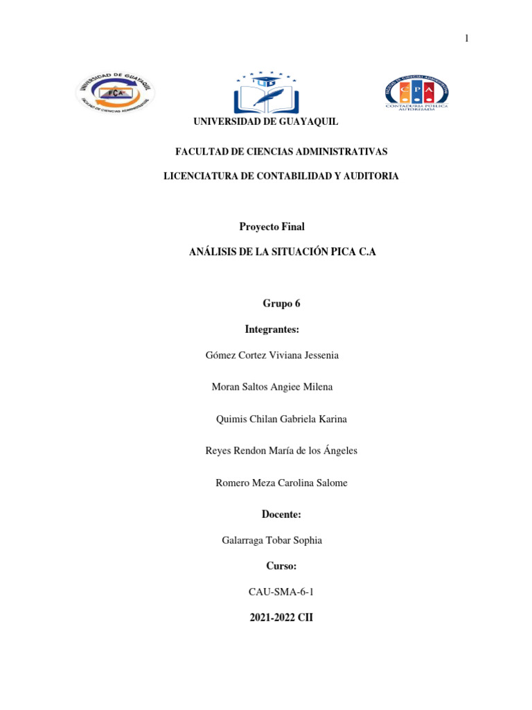 Grupo 6-Proyecto Final PICA C.A | PDF | Business | Análisis FODA