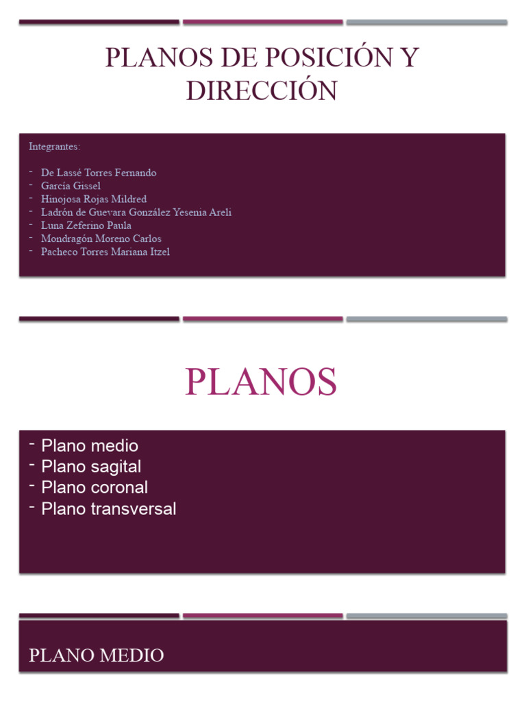 Planos de Posición y Dirección | PDF | Términos anatómicos de ubicación ...