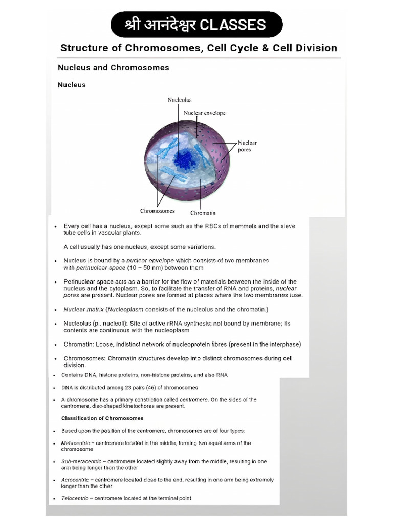 10th Cell | PDF