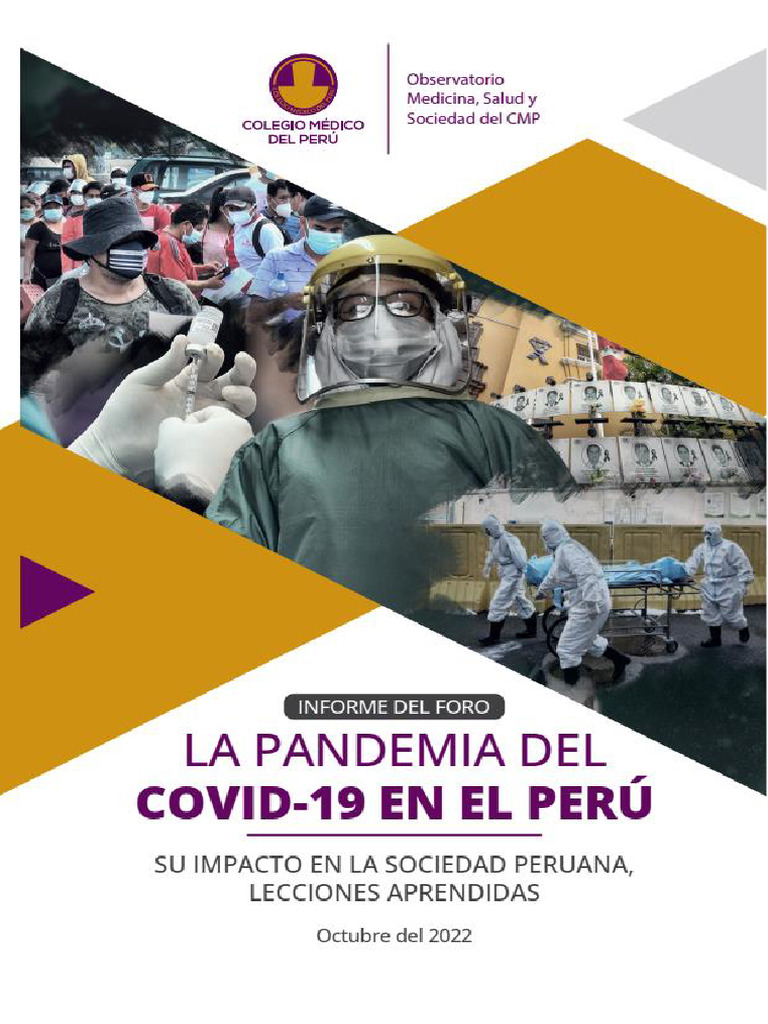 Impacto de la COVID-19 en Perú: Lecciones | PDF | Ciencias de la Tierra