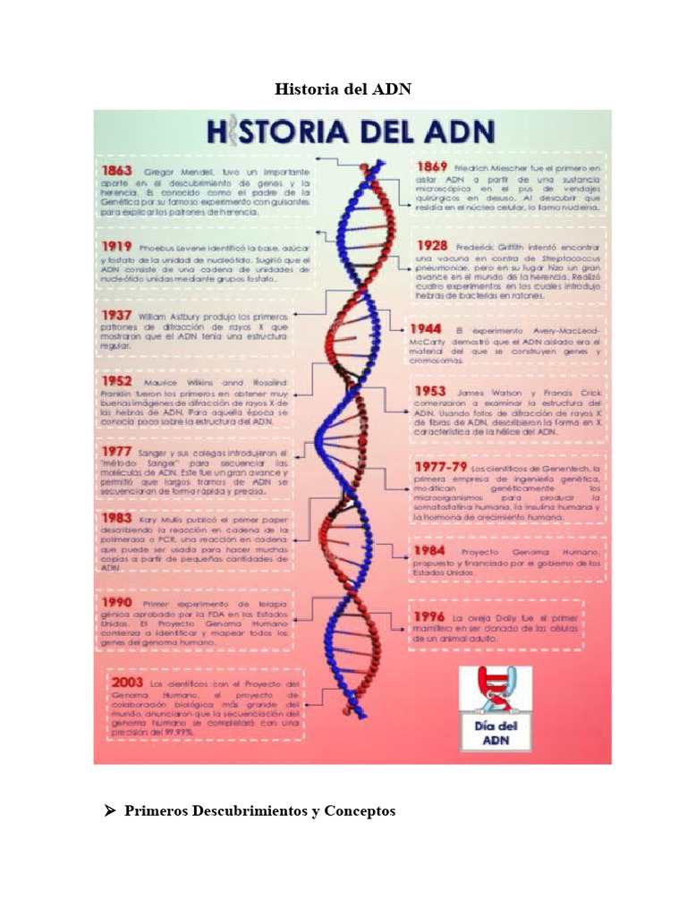 Historia Del ADN | Descargar gratis PDF | Adn | Genética