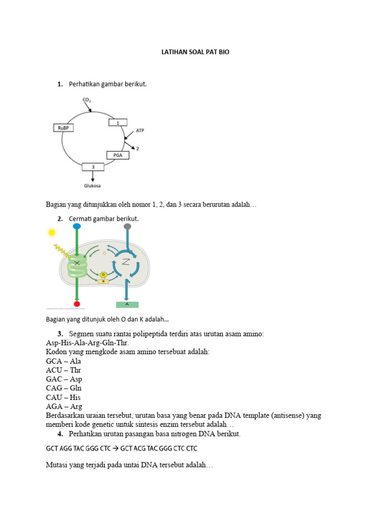 Latihan Soal Pat Bio | PDF