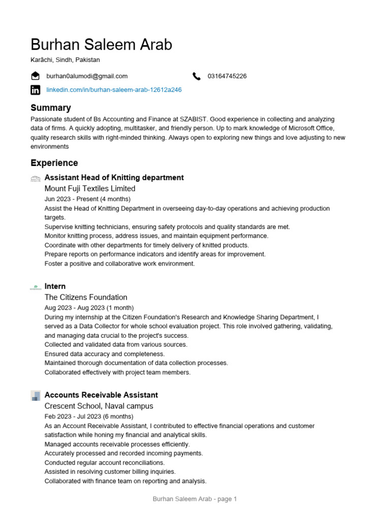 Resume Burhan Saleem Arab | PDF | Business