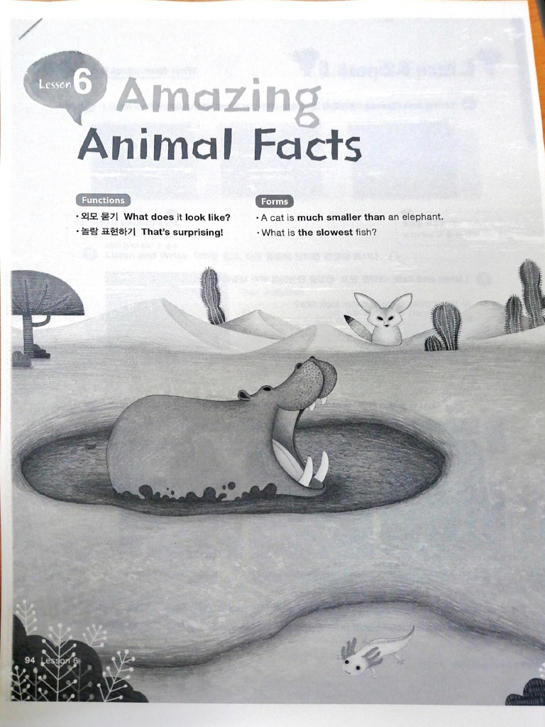 Amazing Animal Facts - Lesson | PDF | Zoology