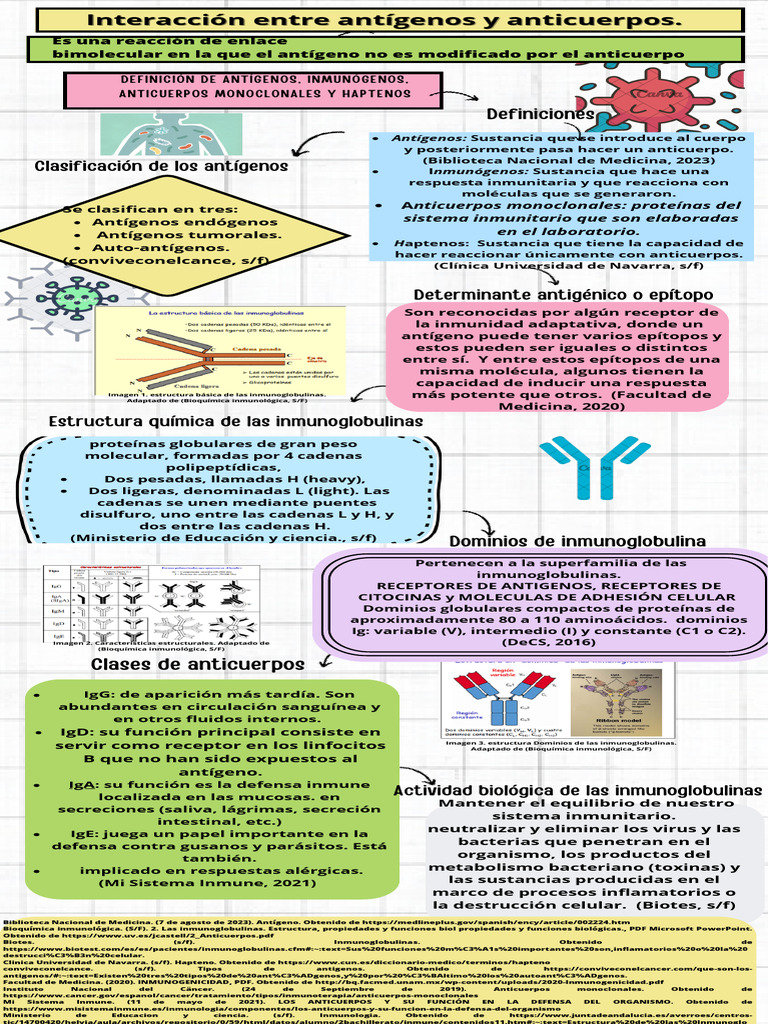 Interacción Entre Antígenos y Anticuerpos. | PDF | Anticuerpo | Antígeno