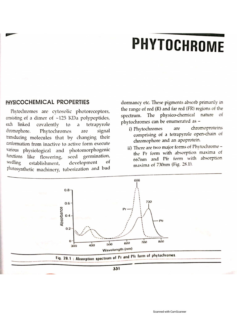 Mechanism of Phytochrome | PDF
