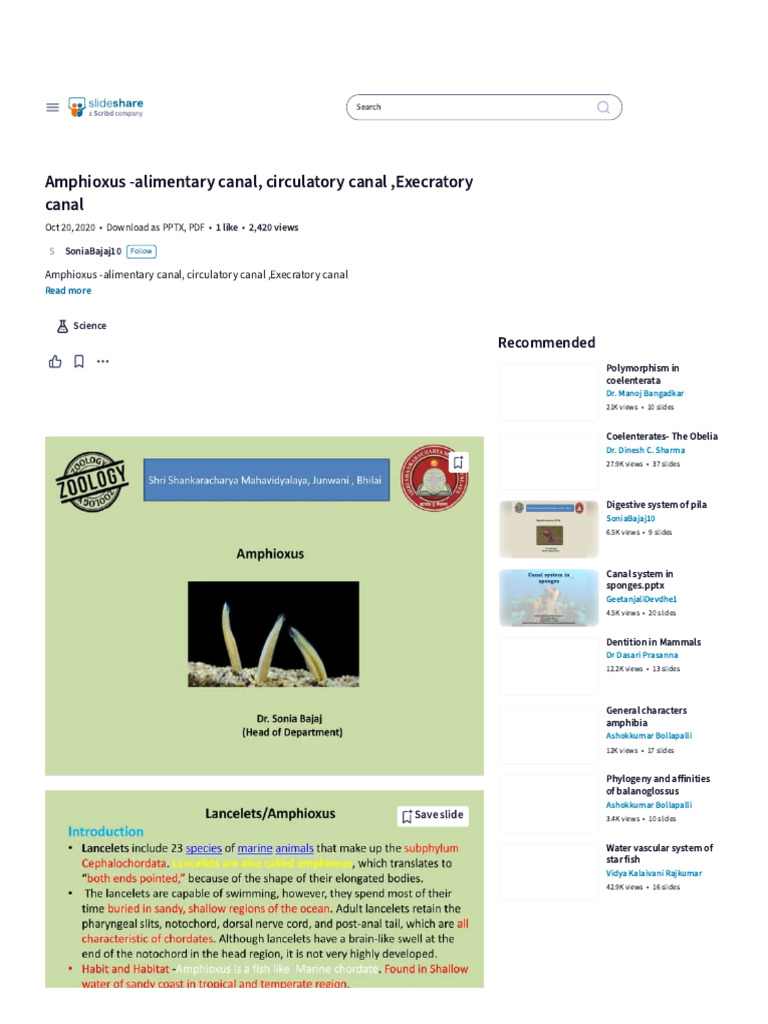 Amphioxus: Digestive and Circulatory Systems | PDF | Animal Anatomy ...