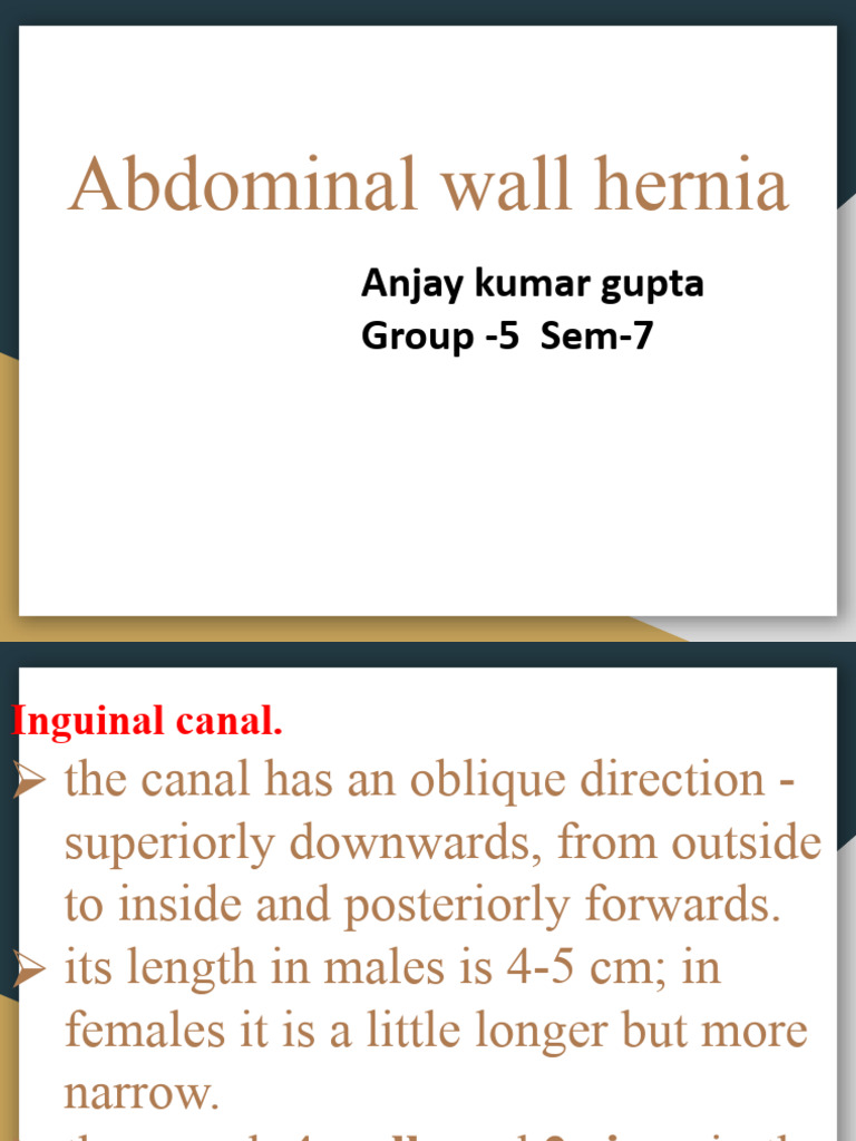 Anjay Pdf Anatomy