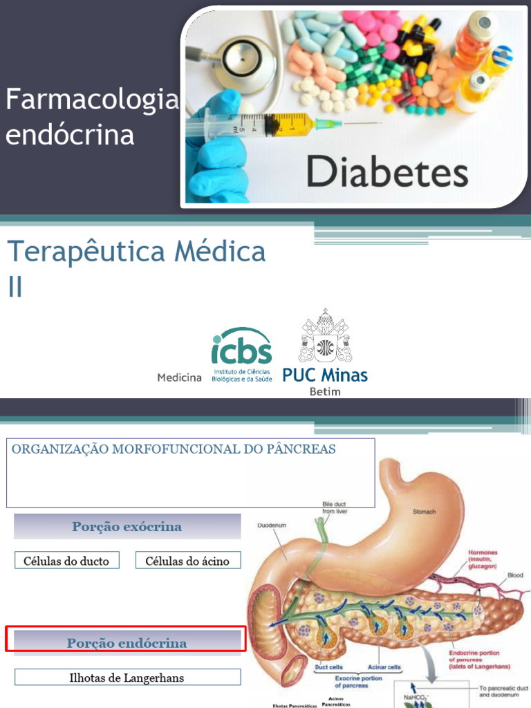 Aula VII - Terapêutica Médica II - Farmacologia Do Sistema Endocrino ...