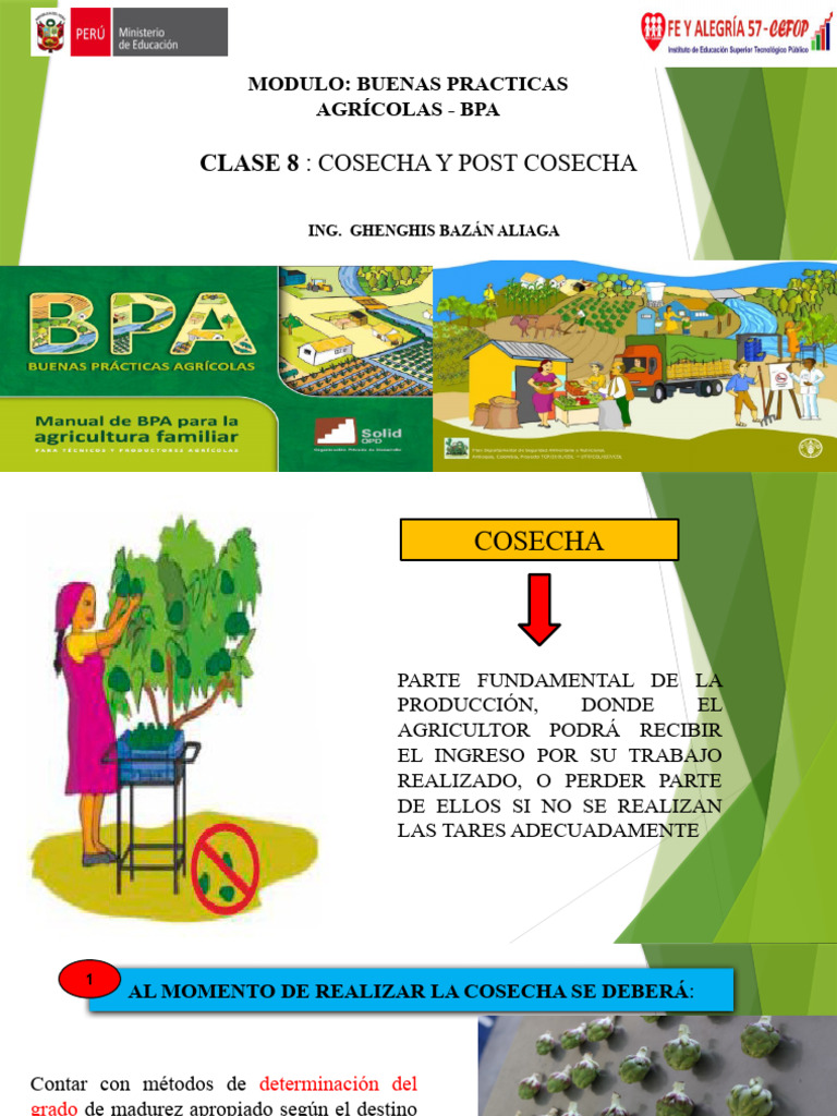 8° Clase Cosecha y Poscosecha | PDF | Cosecha | Pesticida