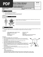 Gummy Bear Dissection Guide | PDF