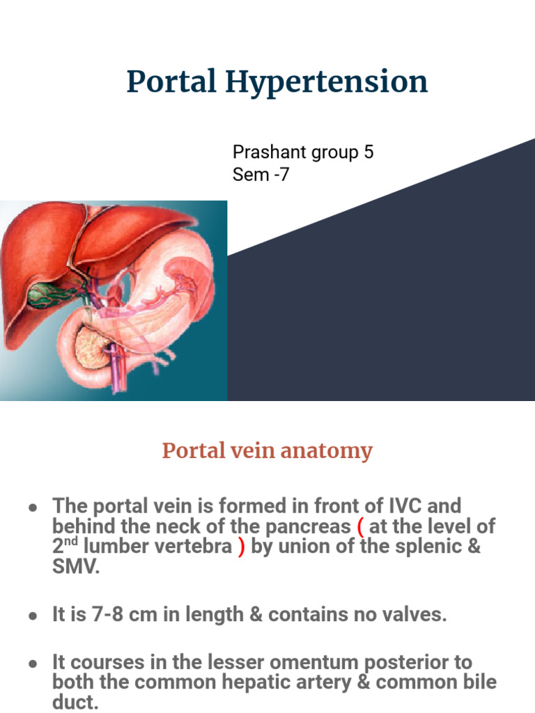 Portal Hypertension | PDF | Vein | Liver