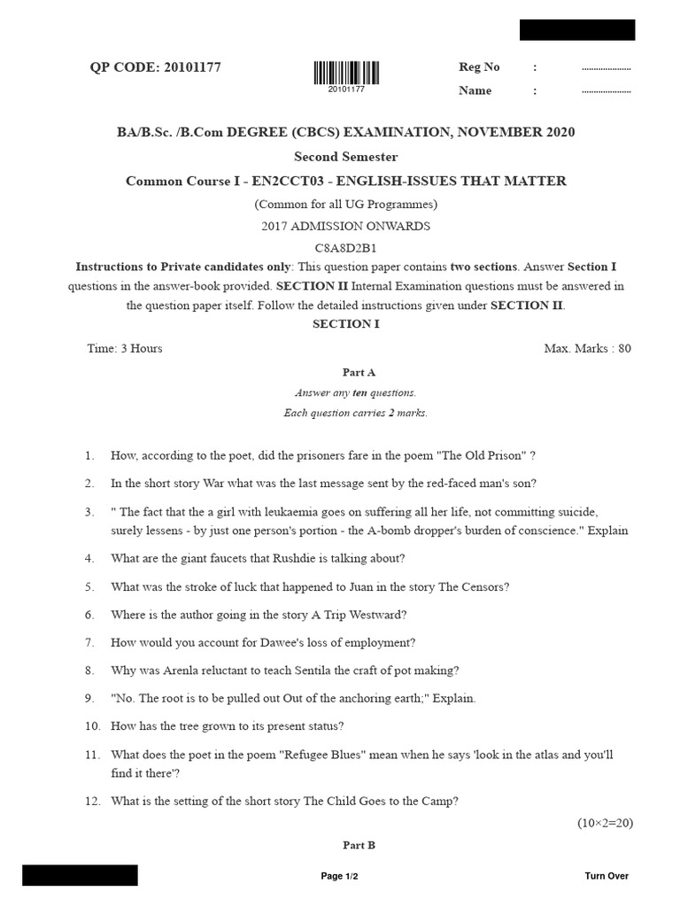 Ba BSC Bcom 2 Sem English Issues That Matter 20101177 Nov 2020 | PDF