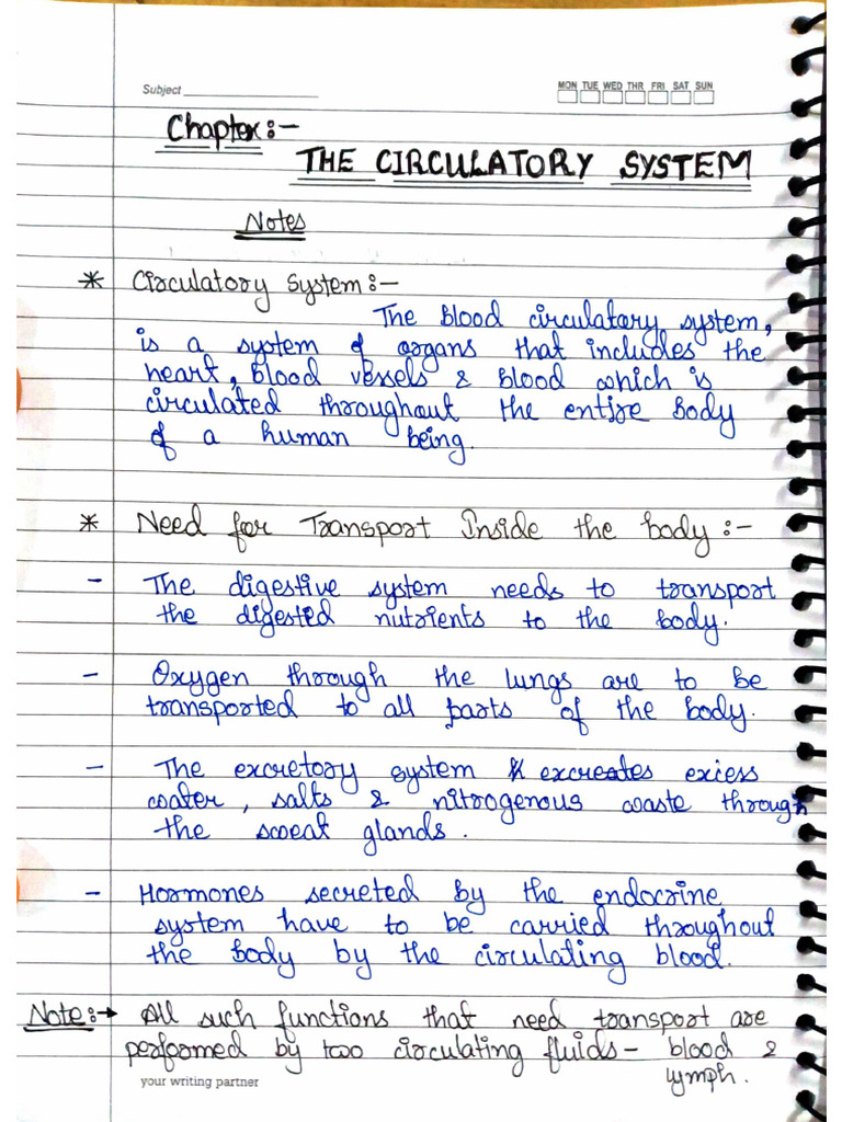 Circulatory System Pdf