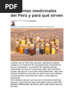 Informe 100 Plantas Medicinales Selva Peruana | PDF