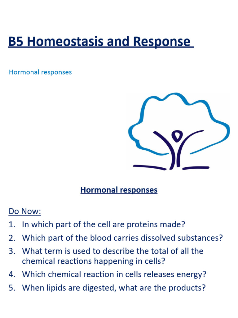 B5.5 Hormonal Response HT | PDF | Hormone | Endocrine System