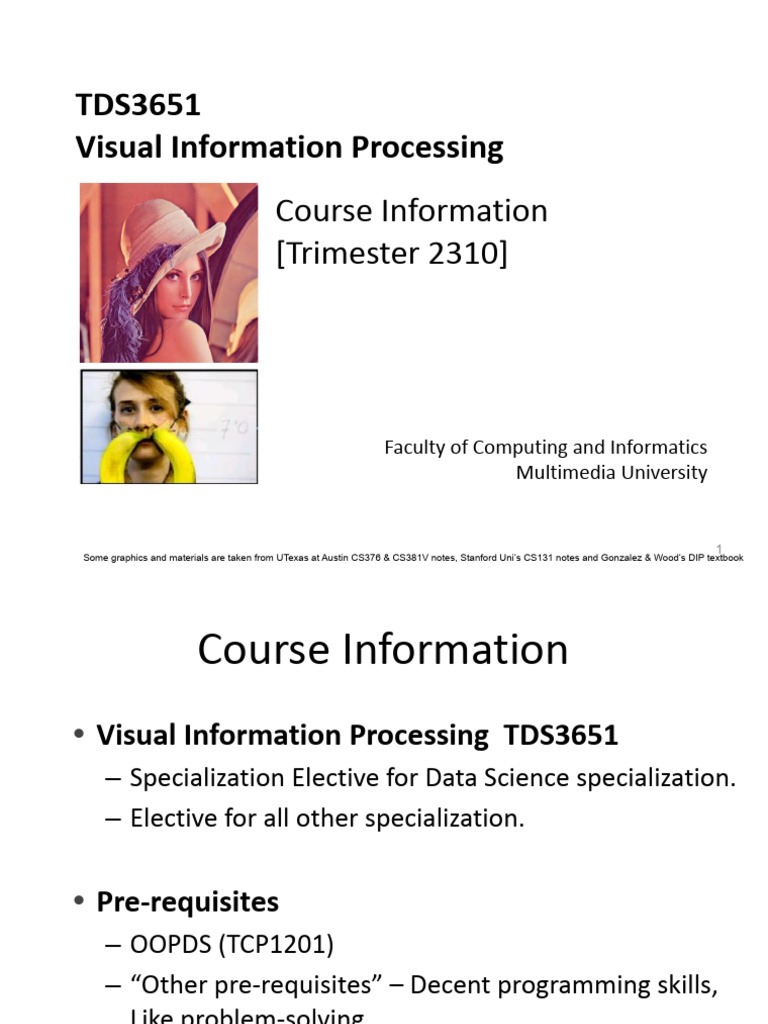 T2310 TDS3651 L01 Introduction | PDF | Computer Vision | 3 D Computer ...