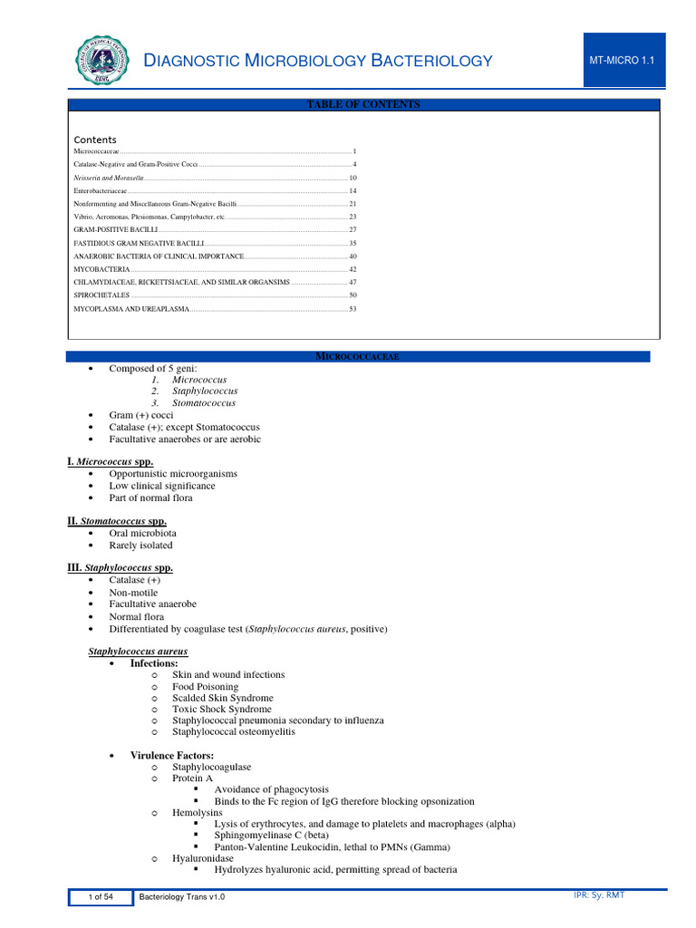 Bacteriology Trans | PDF | Staphylococcus | Bacteria