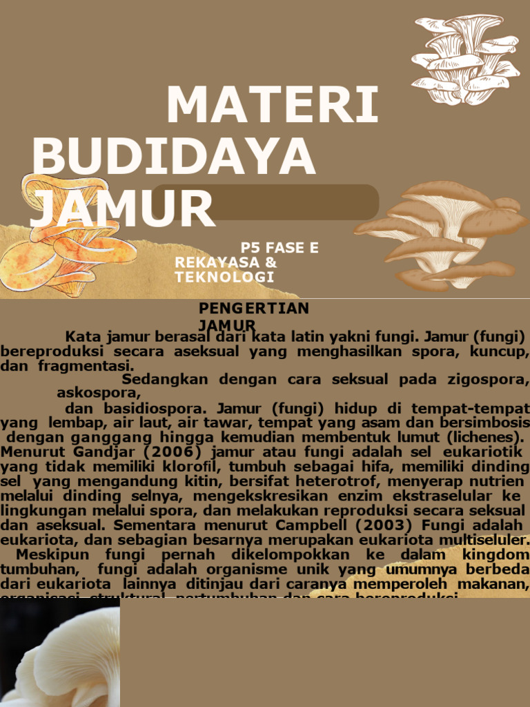 Materi Budidaya Jamur | PDF | Griya & Taman | Kesehatan Holistik