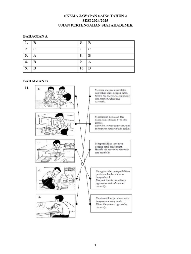 Skema Sains Upsa 2024 Tahun 2 | PDF
