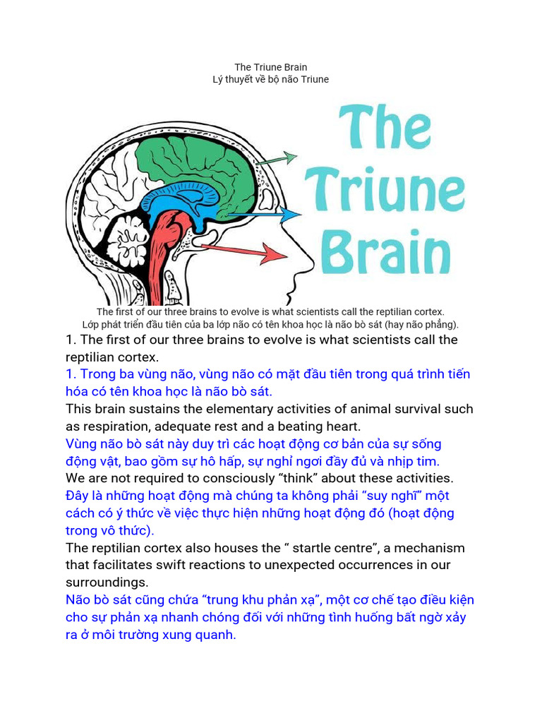 The Triune Brain | PDF