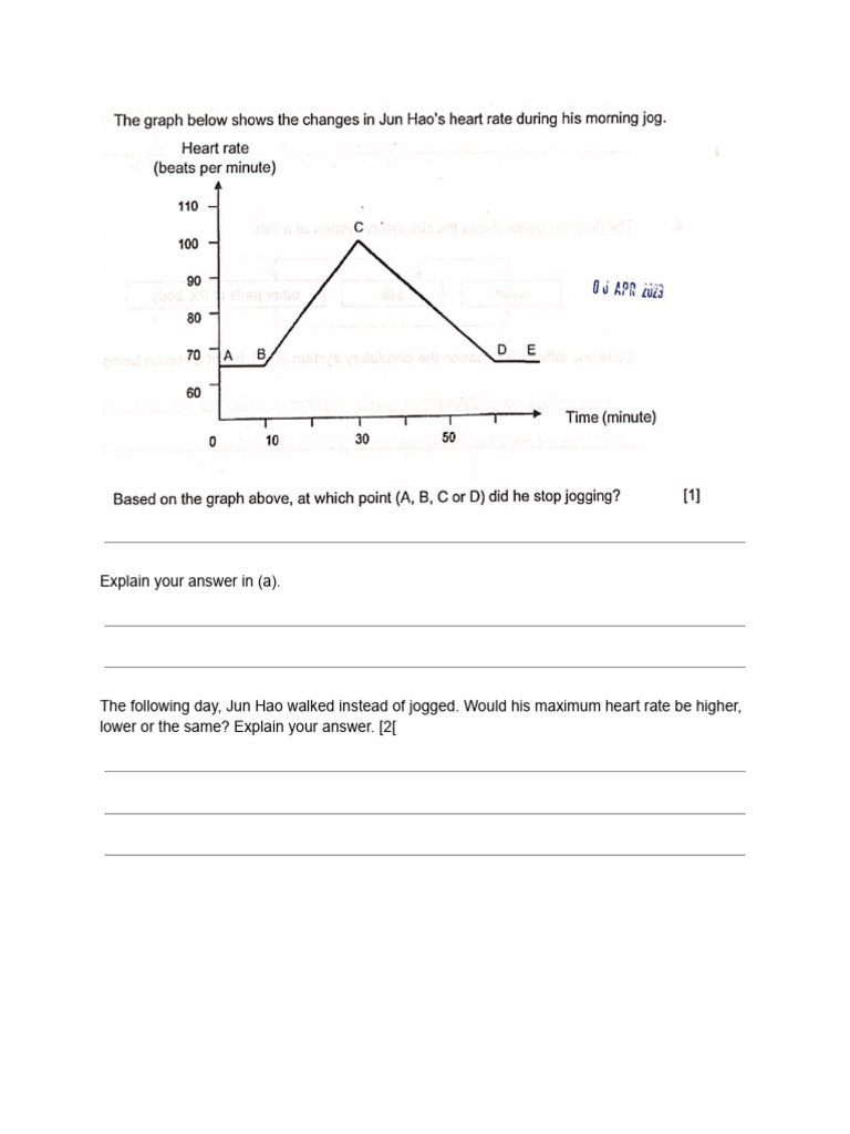 SHPS Circulatory System 7 | PDF