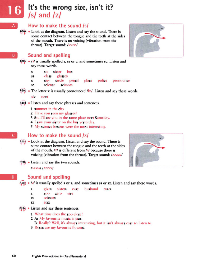 Language Learning Essentials | PDF