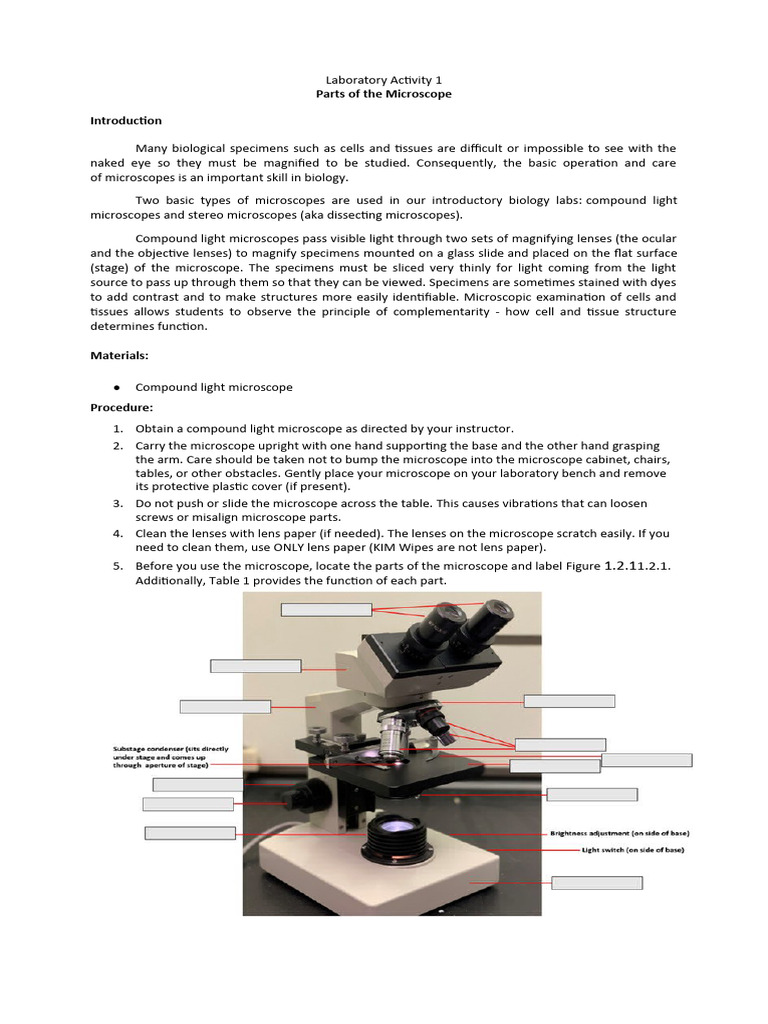 Lab Activity 1 | PDF | Microscope | Scientific Techniques