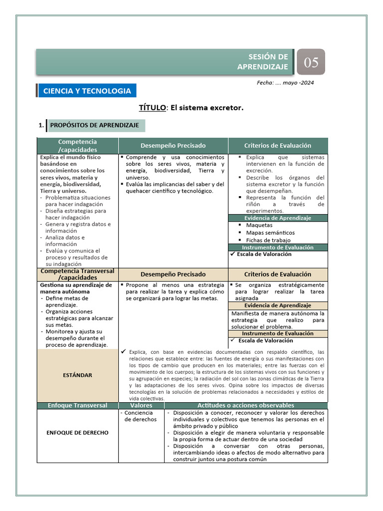 4°_U3_SEM3_S5_CYT-SESION | PDF | Riñón