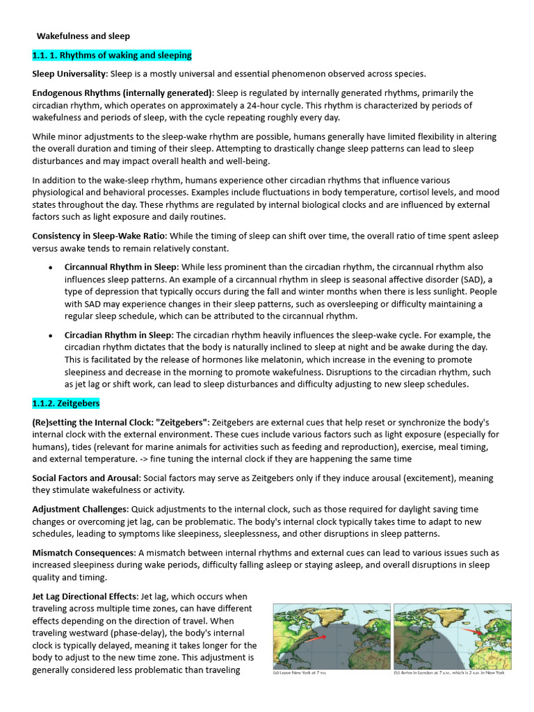 2.1. Bio Sleep | PDF | Circadian Rhythm | Rapid Eye Movement Sleep