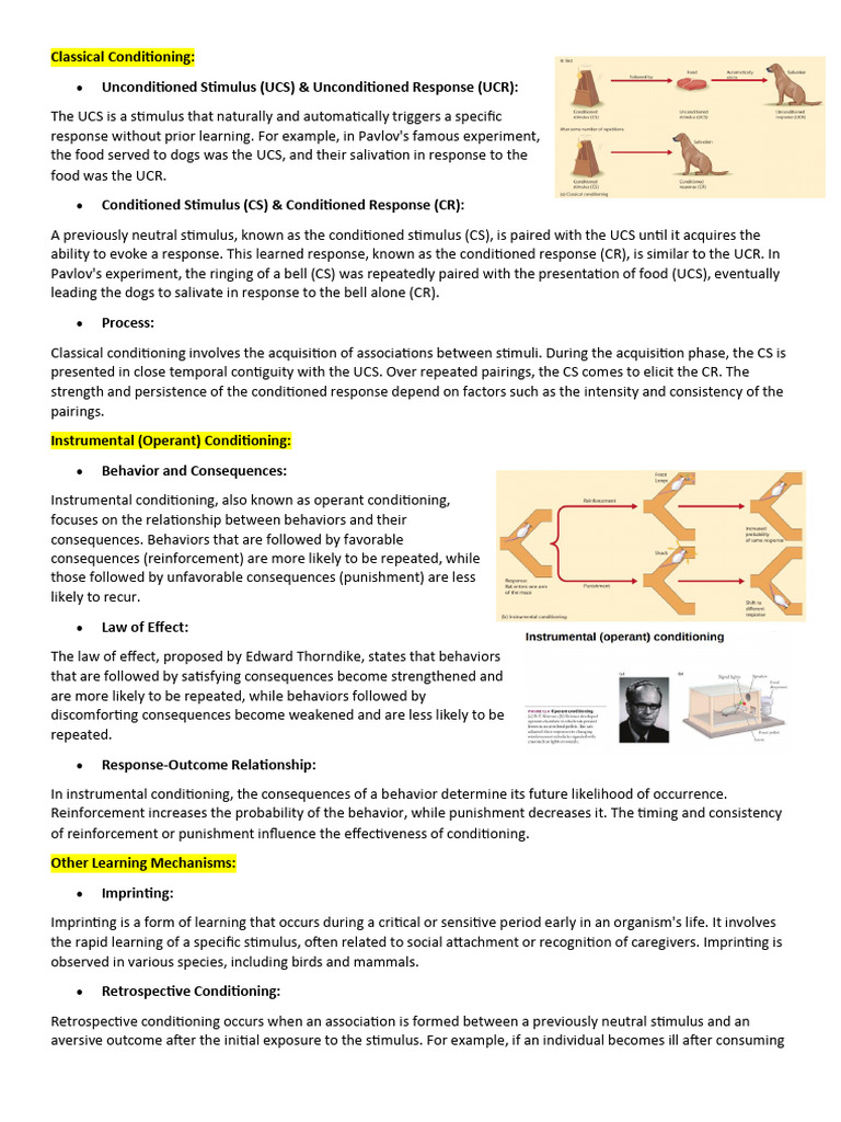 Understanding Classical and Operant Conditioning | PDF | Long Term ...