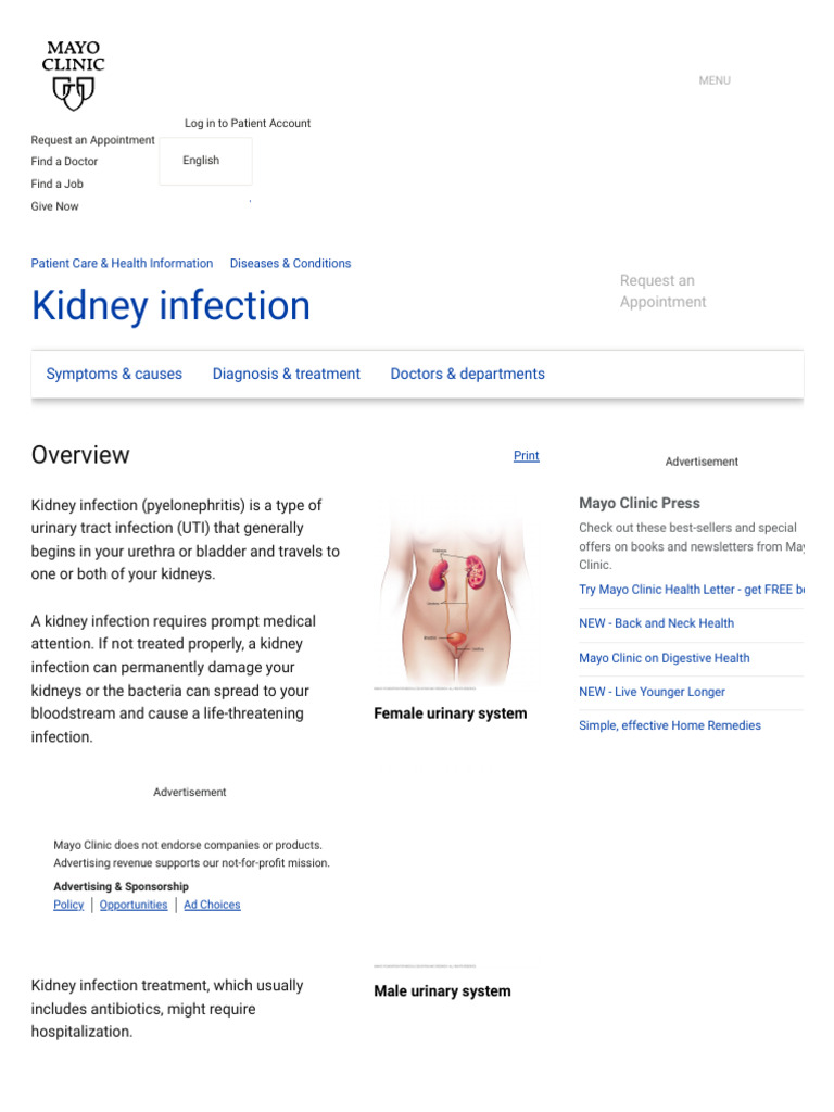 Kidney infection - Symptoms and causes - Mayo Clinic | PDF | Urinary ...