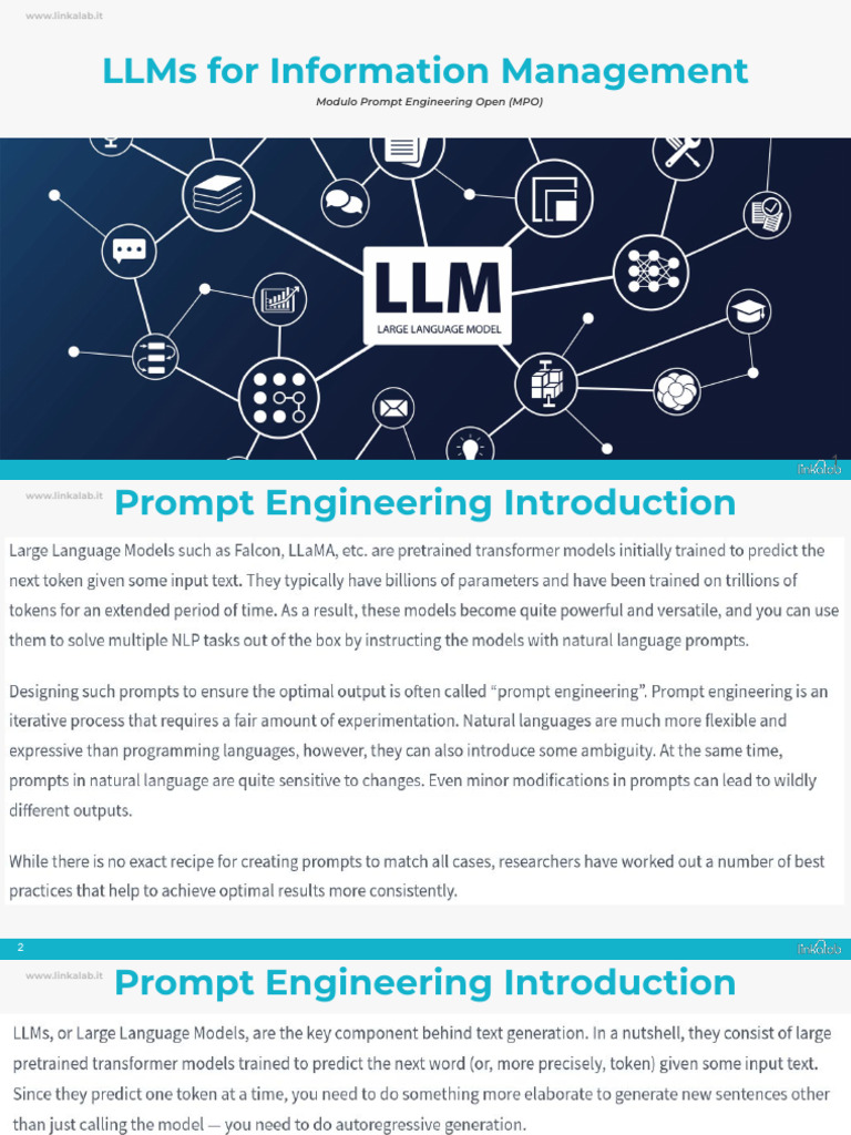 Large Language Models For Information Management - 03 - Modulo Prompt Engineering Open (MPO ...