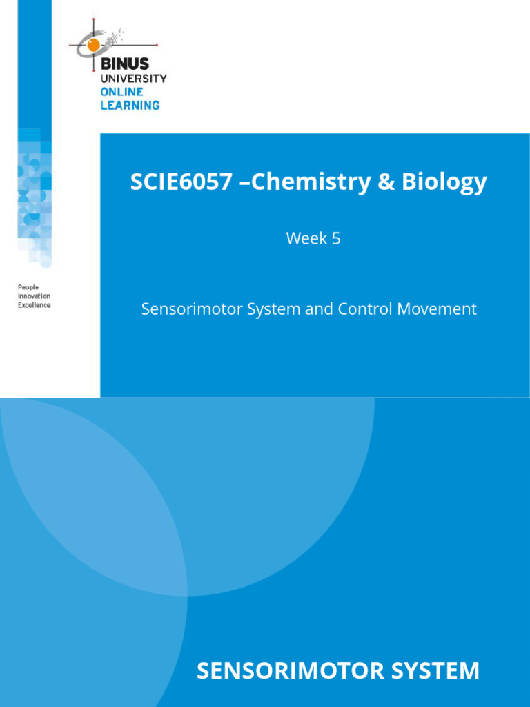 Sensorimotor System and Control of Movement | PDF | Basal Ganglia | Muscle