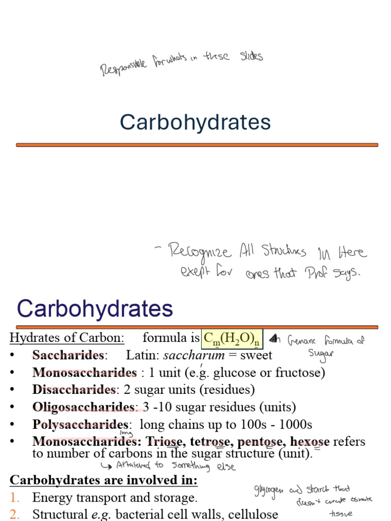2700 Lecture 12 Carbohydrates - S24 | PDF | Carbohydrates | Glucose
