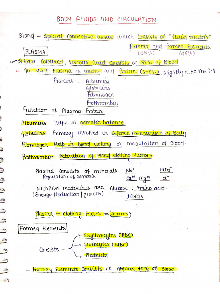 Blood Circulation Pdf