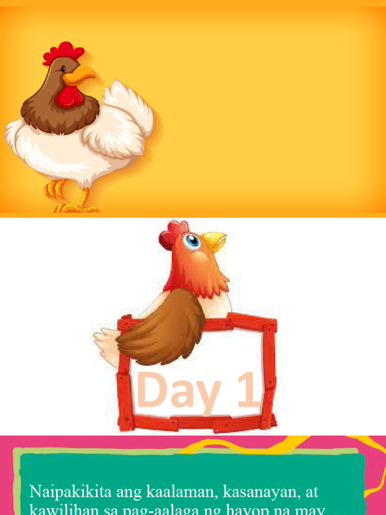 Agri5 w4 Kaalaman, Kasanayan, at Kawilihan Sa Pag-Aalaga NG Hayop | PDF