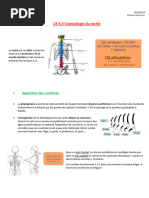 Interprétation RX Rachis Cervical | PDF | Vertèbre | Colonne vertébrale