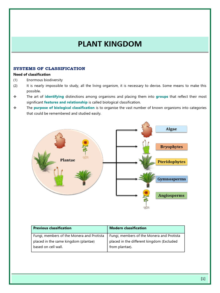 Plant Classification Systems Explained | PDF | Moss | Spore