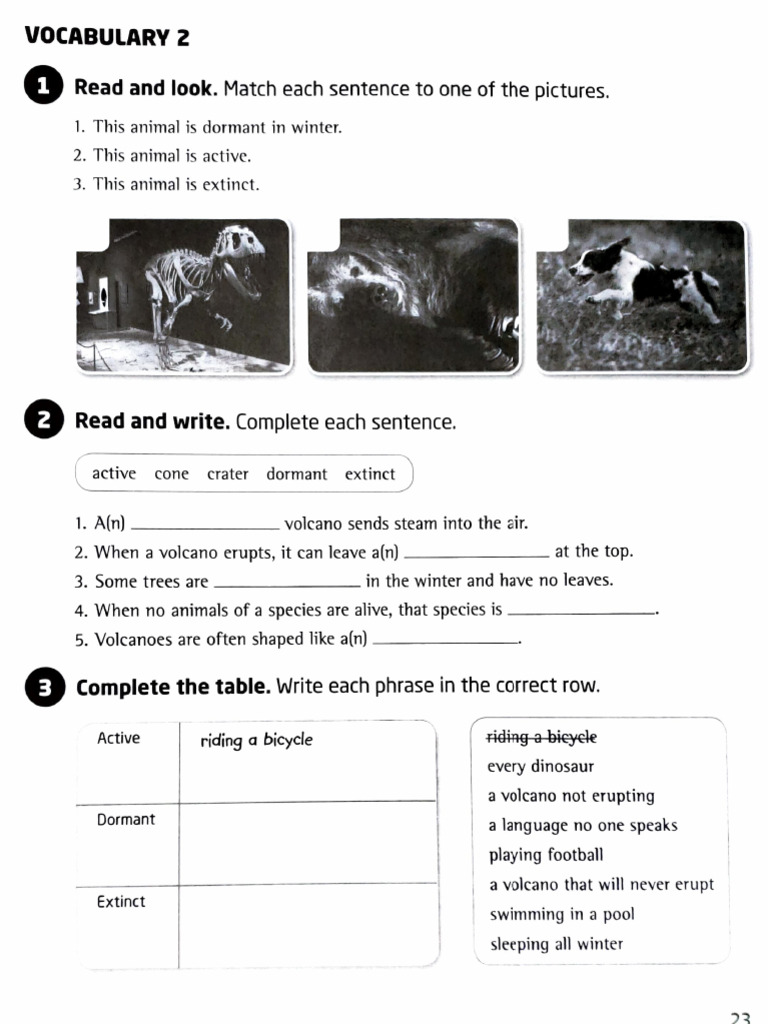 6to Grado - Unit 3 - Parte 2 | PDF | Volcano | Natural Hazards