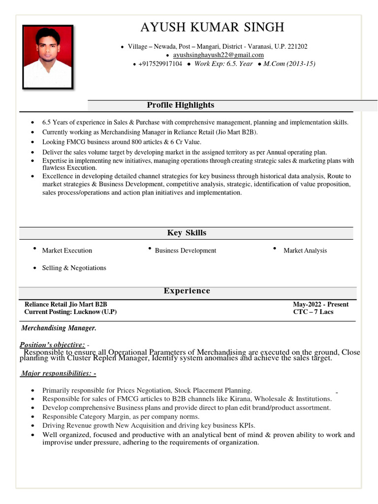Ayush CV | PDF | Sales | Merchandising