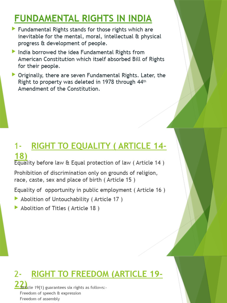 Fundamental Rights (Revised Version) | PDF | Common Law | Political ...