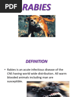 FAVN Rabies Test Submission Guide | PDF