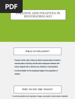 FNAC Procedure and Cytotechnologist Role | PDF | Cytopathology ...
