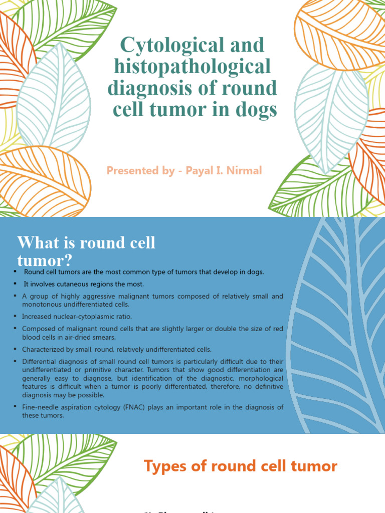 Round Cell Tumor | PDF | Cytopathology | Neoplasms