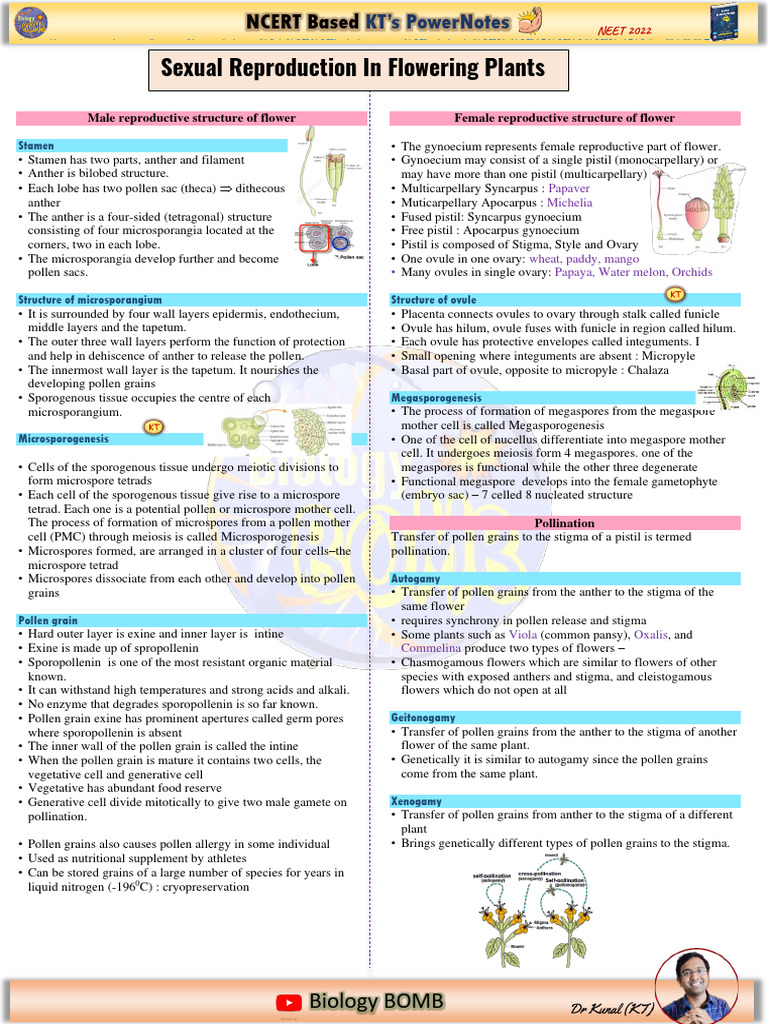 Sexual Reproduction in Flowering Plants | PDF | Pollen | Seed